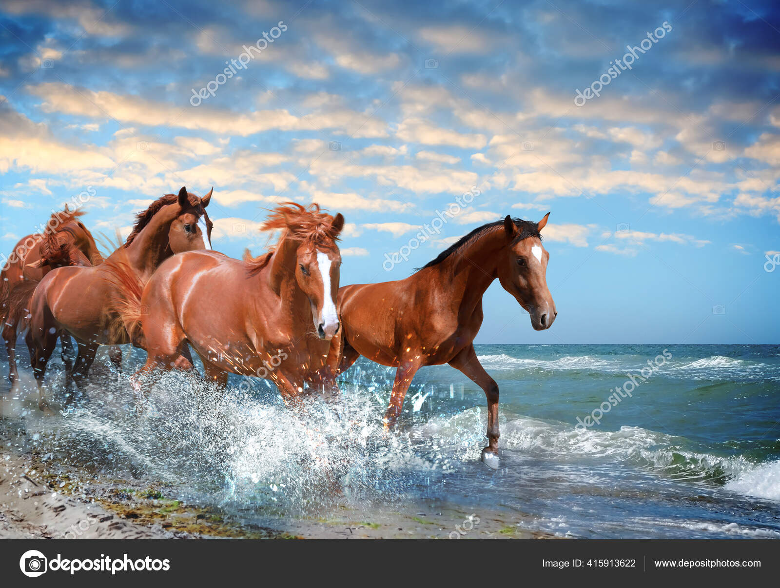 Wild Horses Running On Beach