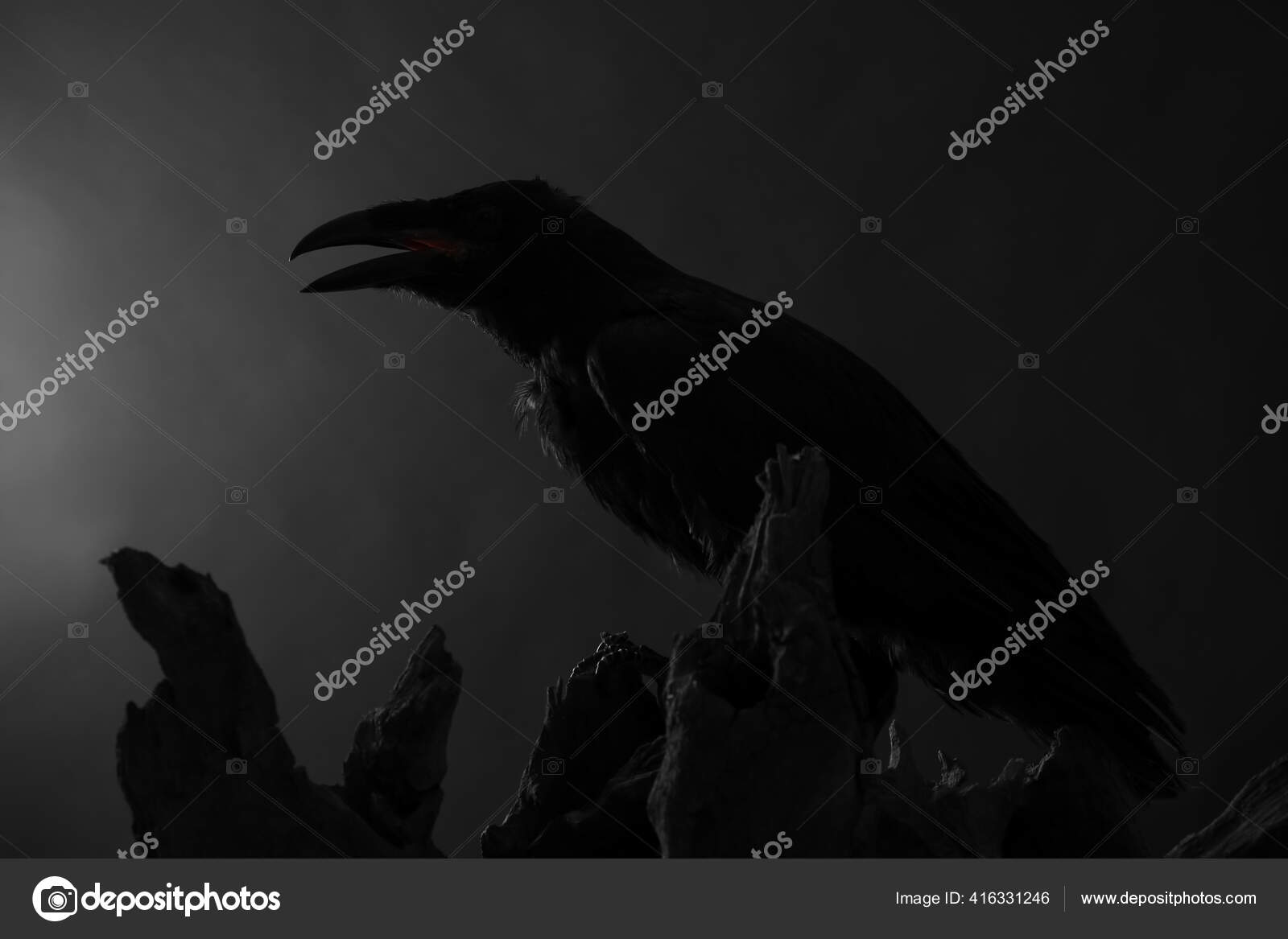 Perched Crow Silhouette