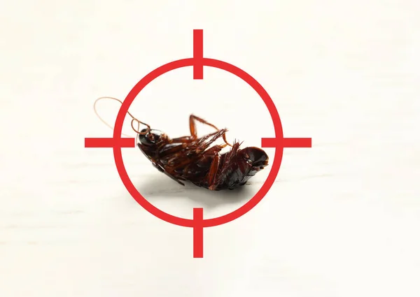 Target pest Stock Photos, Royalty Free Target pest Images | Depositphotos