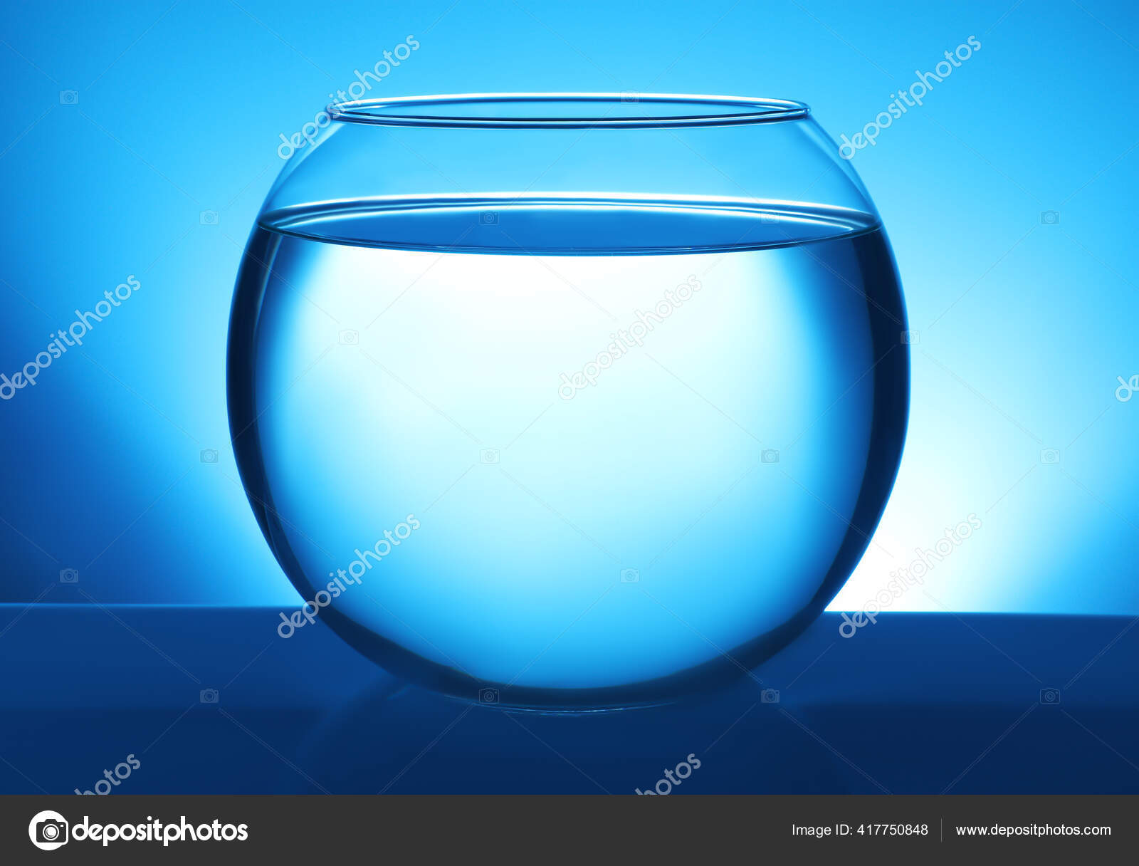 Empty Glass Fish Bowl