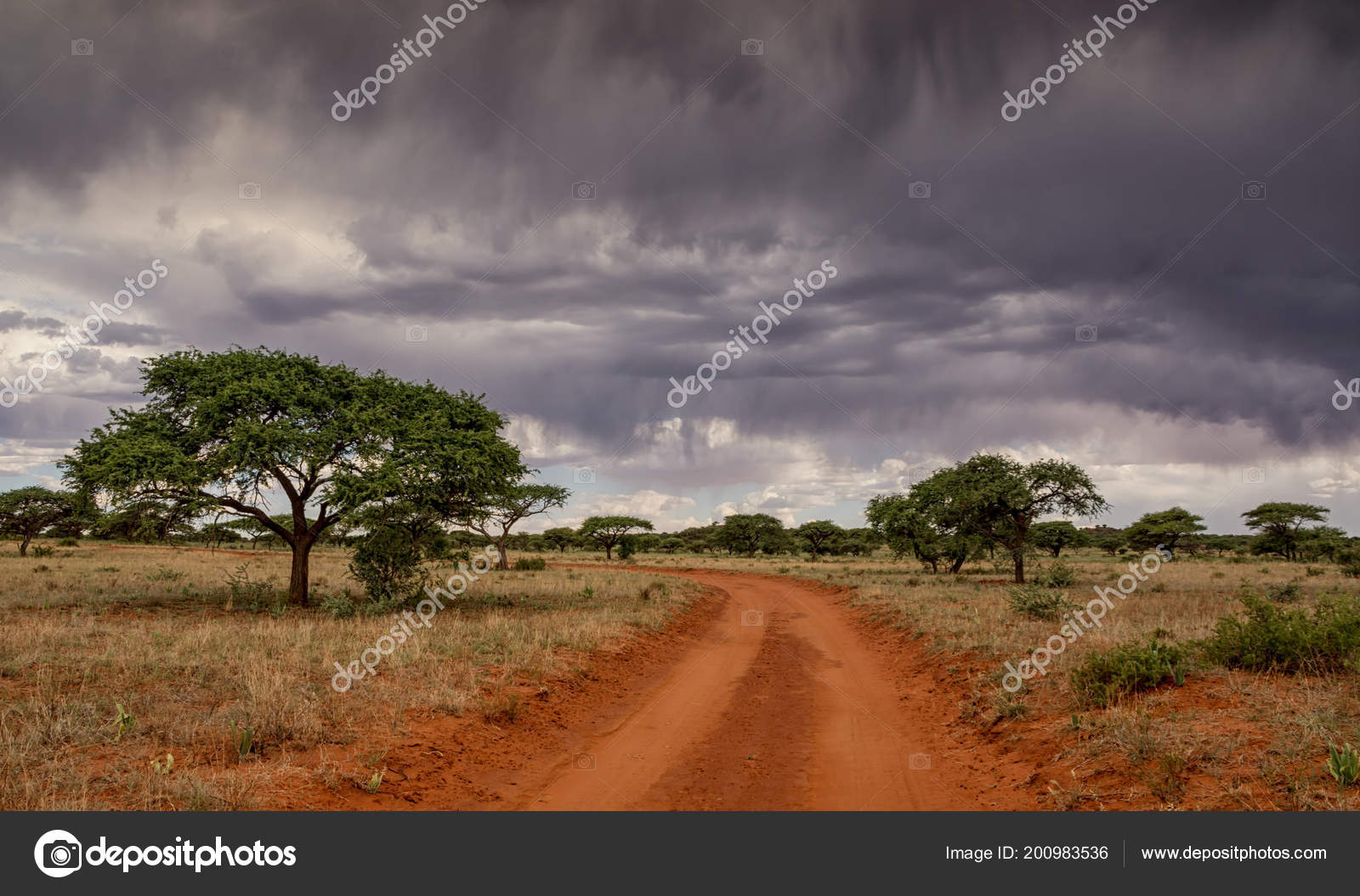 Storm Clouds Rolling Savanna Northern Cape South Africa Stock Photo by ...