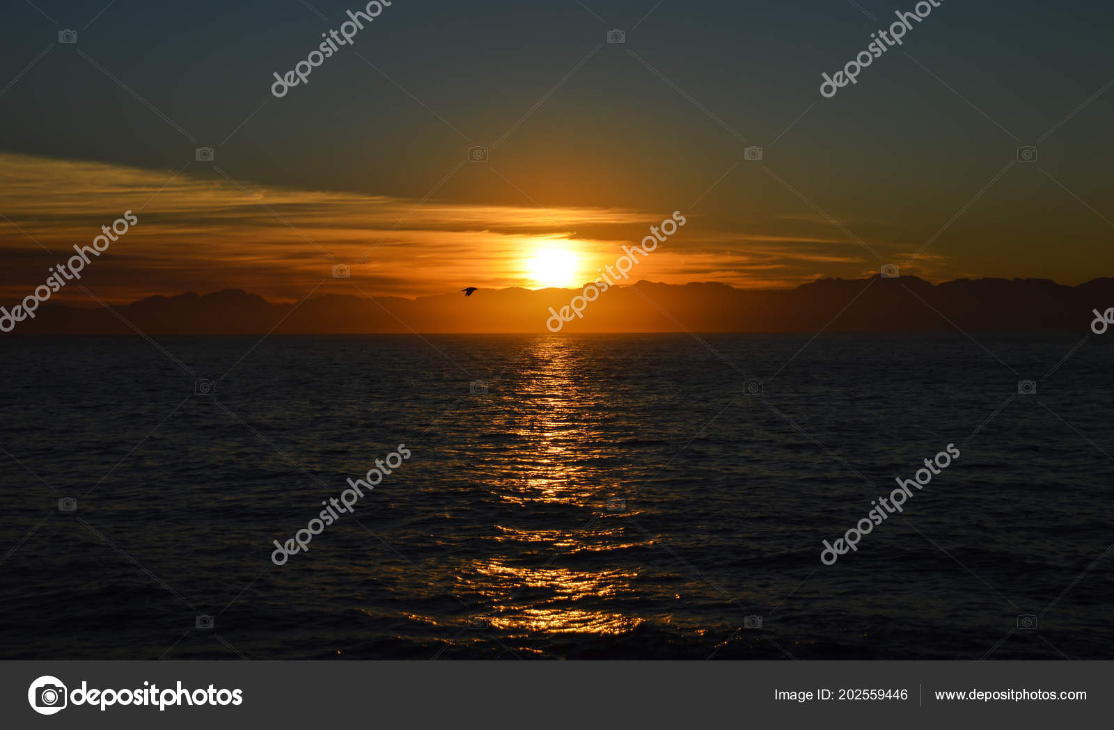 Sunrise False Bay South Africa Stock Photo by ©Binty 202559446