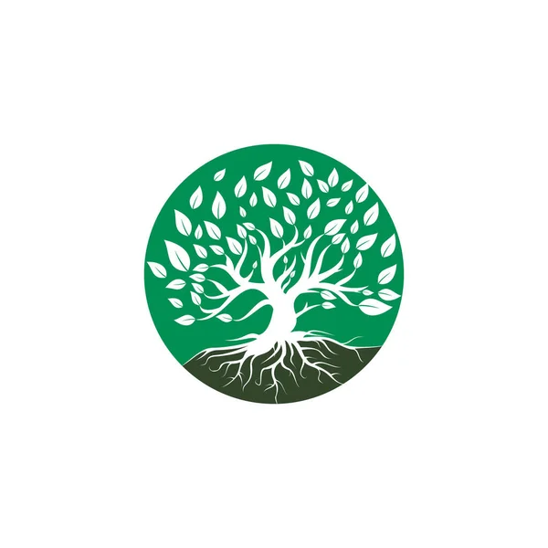 Tree Root Logo Vector Design Illustration Tree Life Logo Design Stock ...