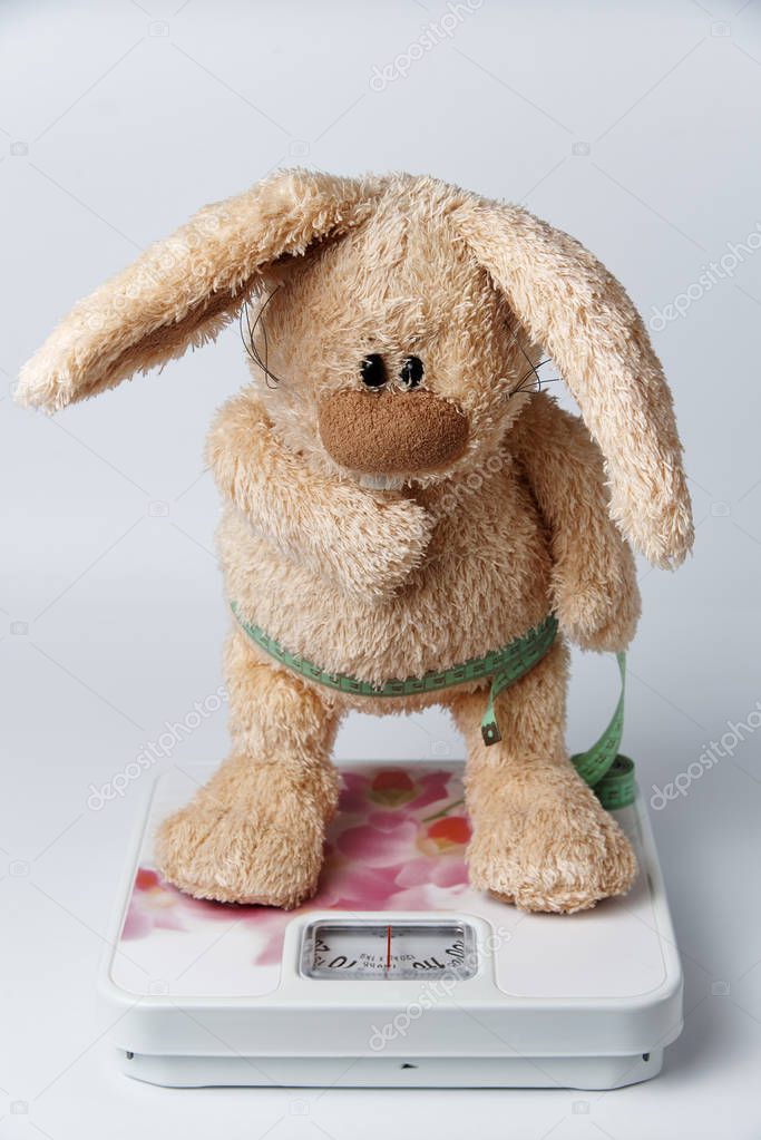 Un conejo de juguete suave con una cinta de centímetro está parado en ...