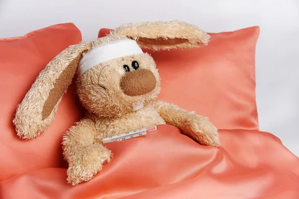 Rabbit bandage Pictures, Rabbit bandage Stock Photos & Images ...