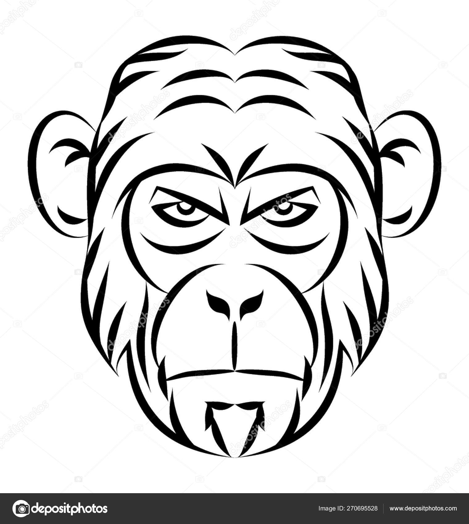 Bonobo Vectoriel Logo Bonobo (Pan Paniscus) Dimensions & Drawings