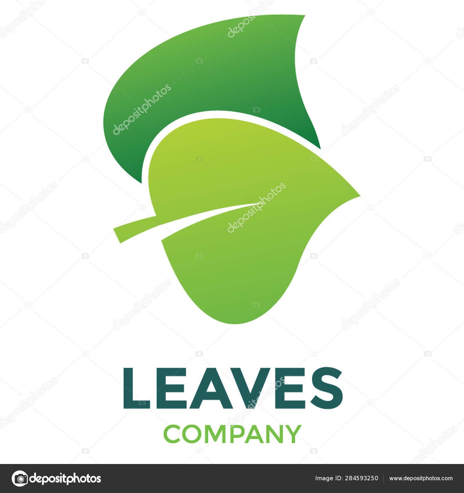Logo Birch Leaves Design Stock Vector by ©vectorspoint 284593250