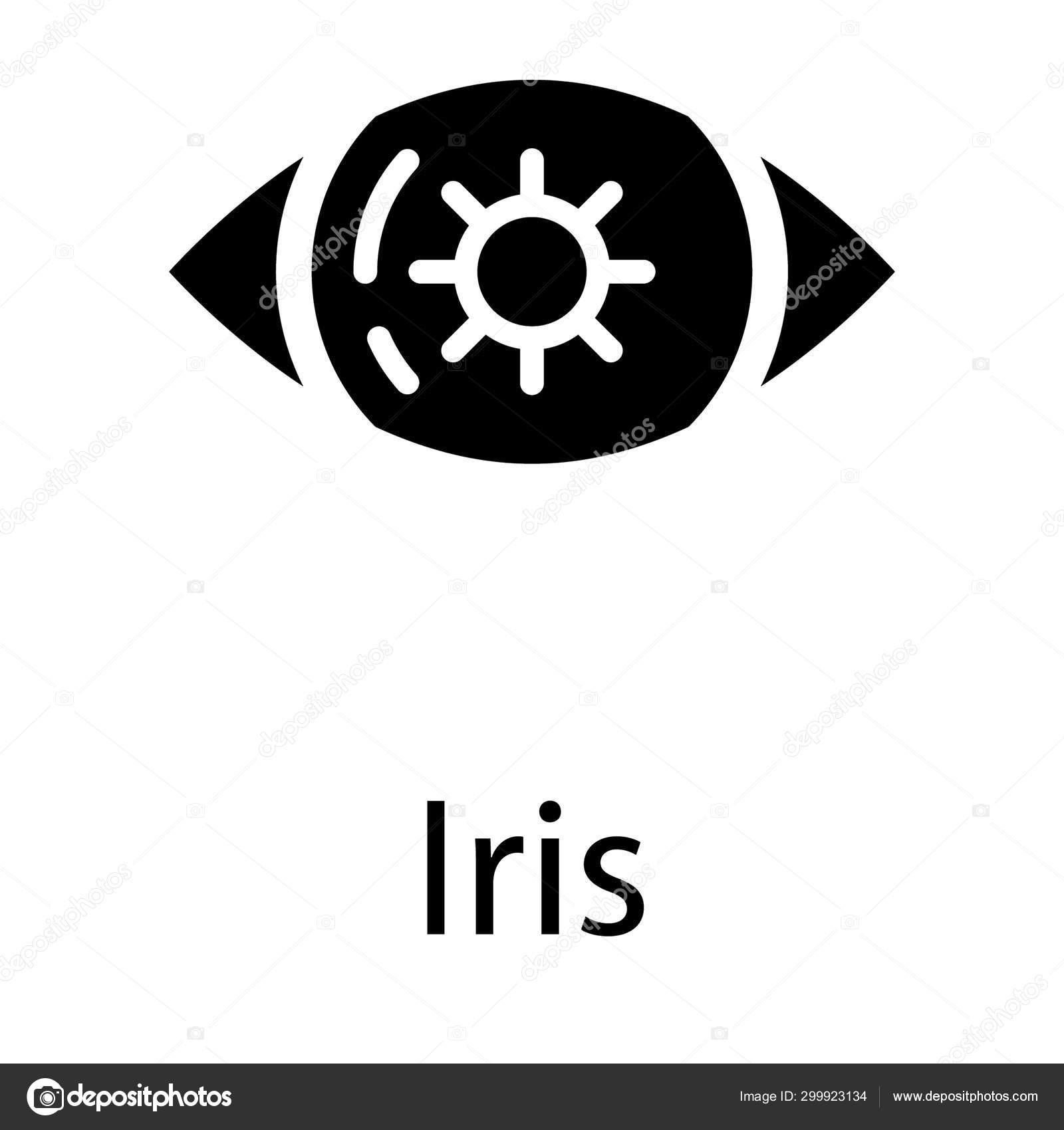 Vector Del Iris Humano Diseño Sólido Vector de stock #299923134 de ...