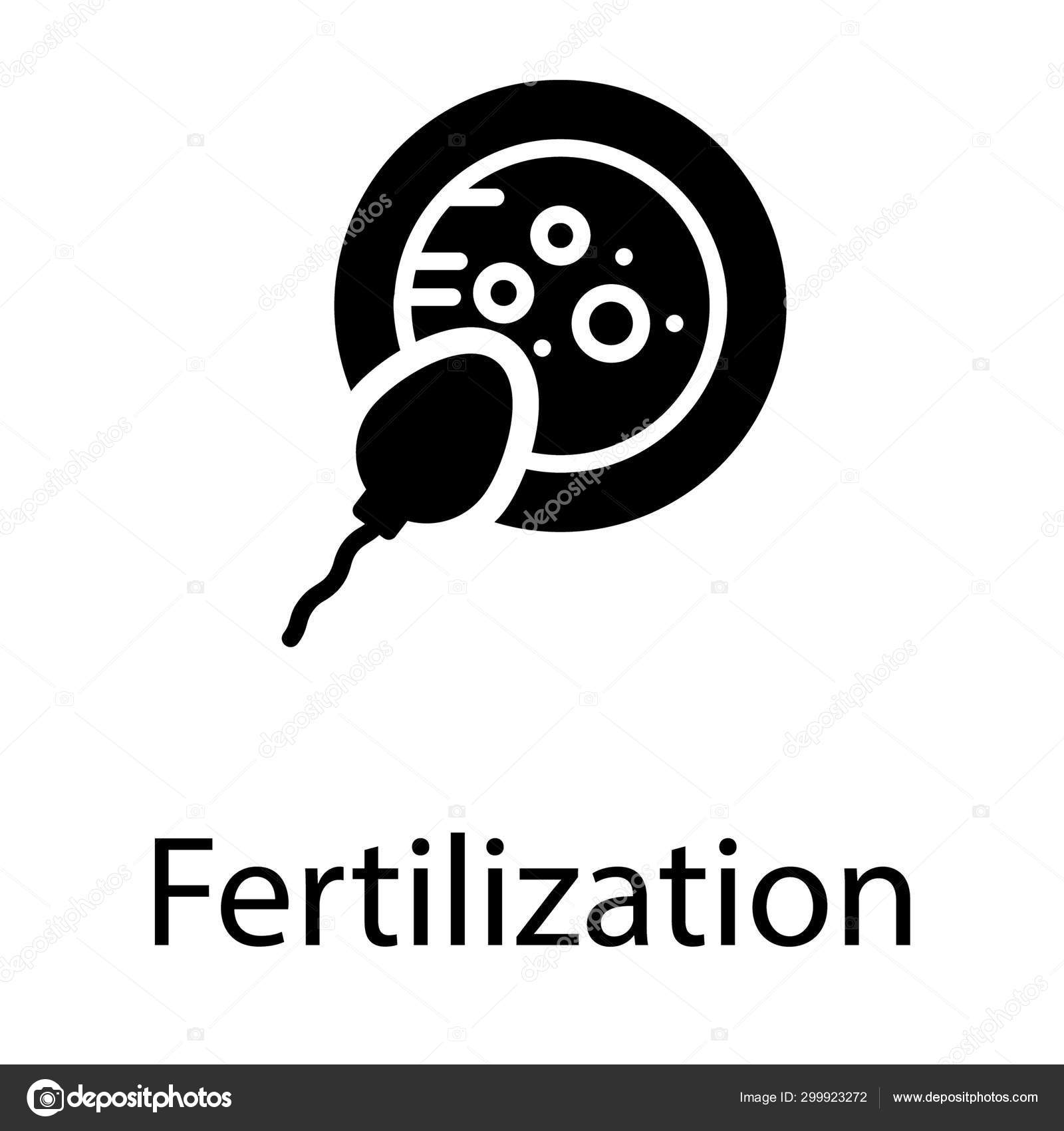 Woman Fertilization Vector Solid Design Stock Vector by ©vectorspoint ...