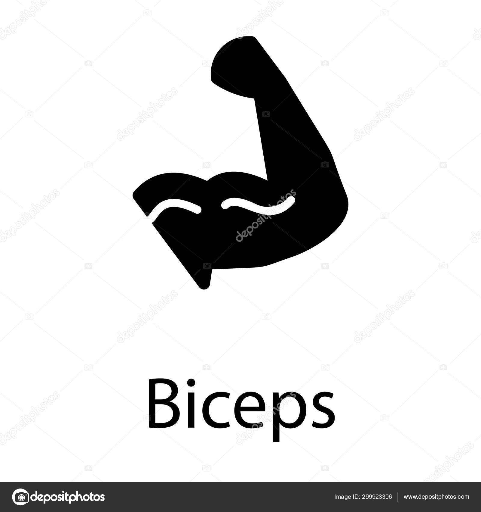 Bicep Vector Muscular Diseño Sólido Vector de stock por ©vectorspoint 299923306