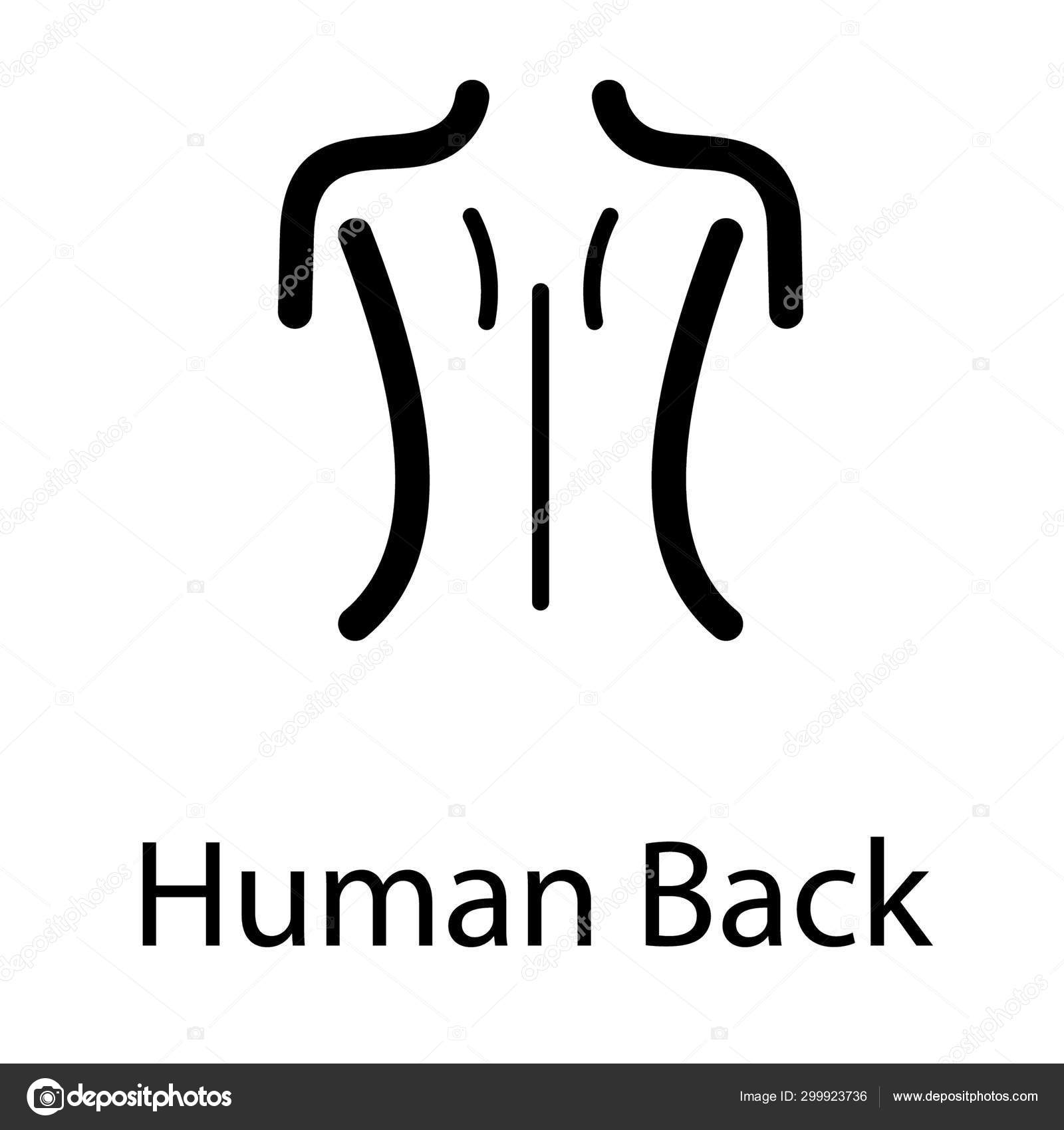 Vector Trasero Humano Diseño Línea Vector de stock #299923736 de ...