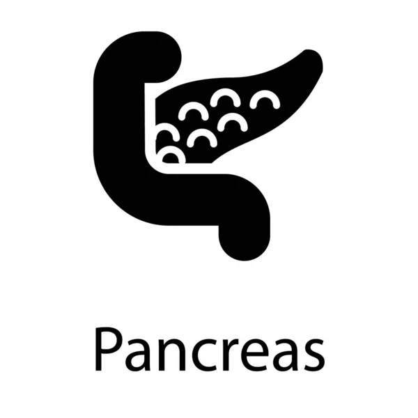 Human Pancreas Images - Search Images on Everypixel