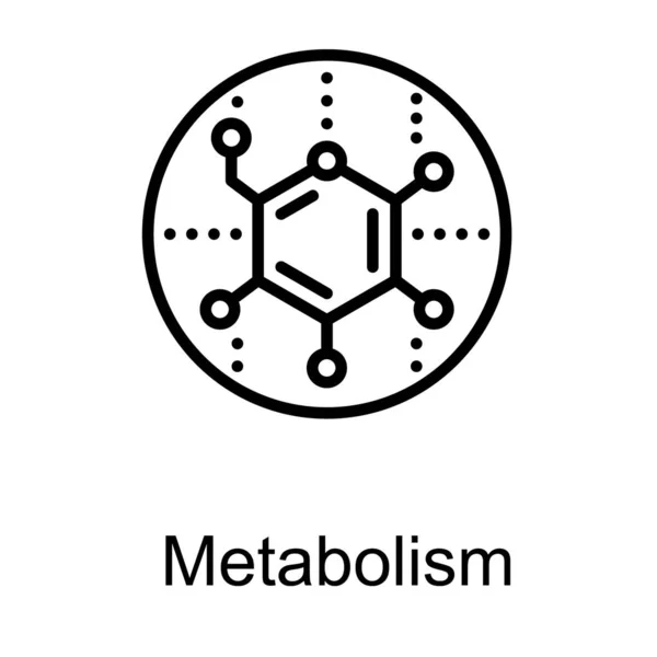 Metabolismo Imágenes Vectoriales, Gráfico Vectorial de Metabolismo ...