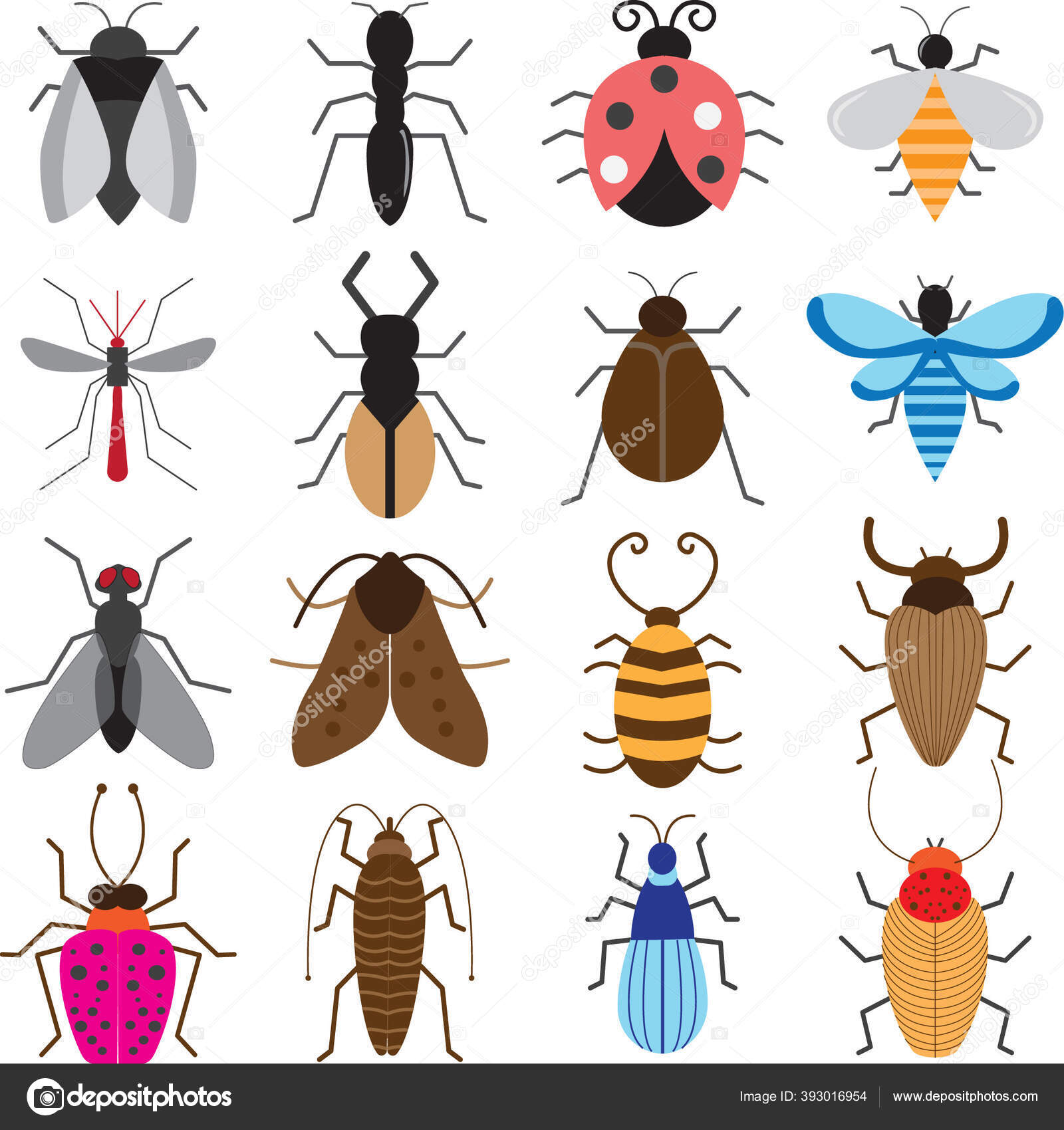 Colección Diferentes Tipos Insectos Vector de stock #393016954 de ...