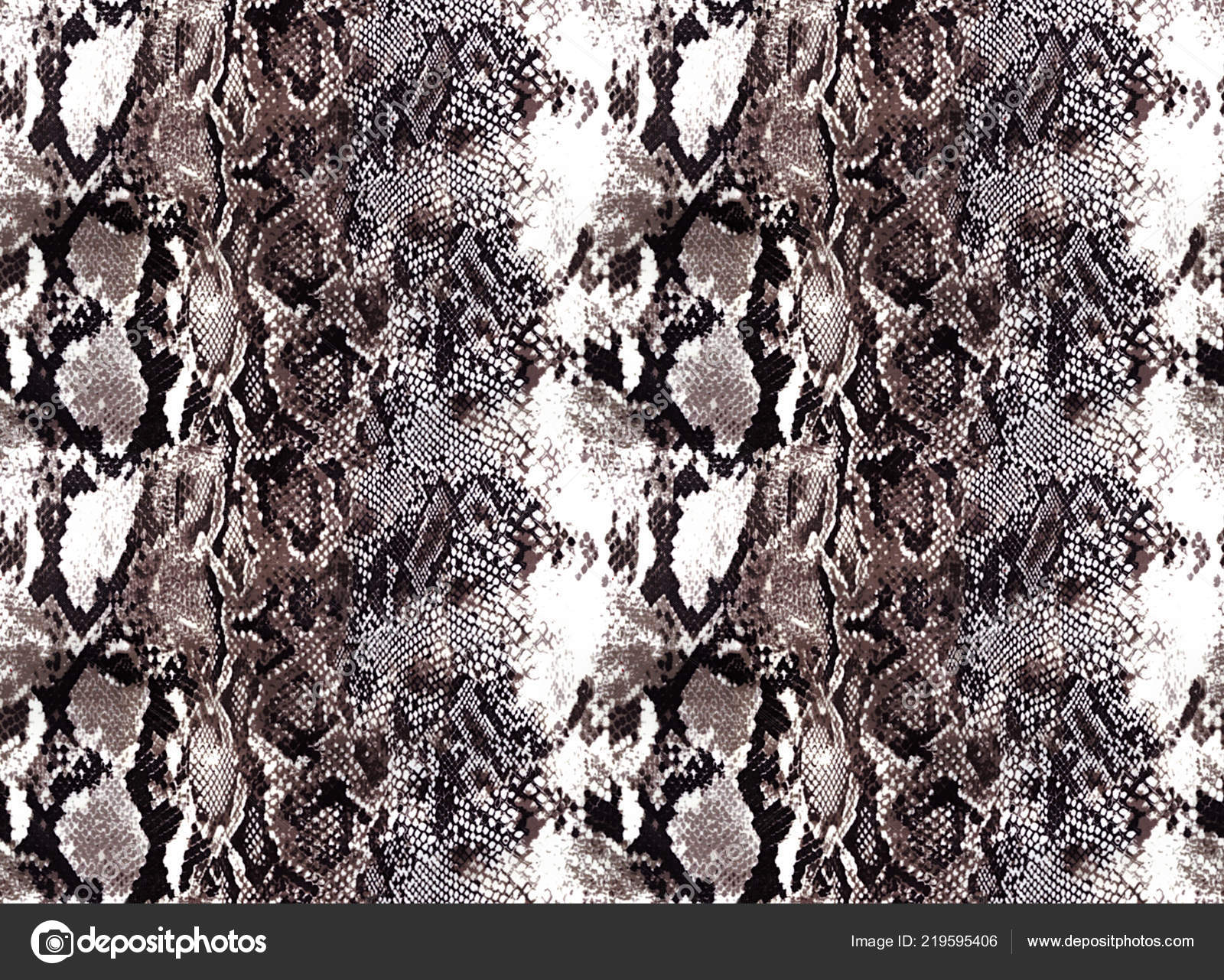 Snake Seamless Pattern Snake Texture Animal Skin Piton Skin Pattern ...