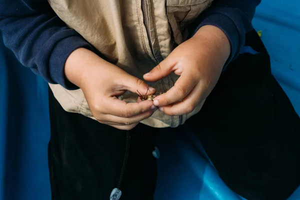 Exploitation du travail des enfants Stock Photos, Royalty Free ...