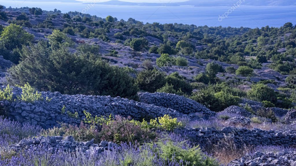 CROACIA, isla de Hvar - Junio 2018: Hvari es mundialmente famosa por su ...