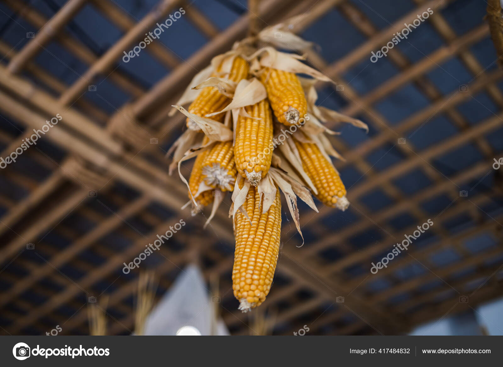 Dried Corn Cob