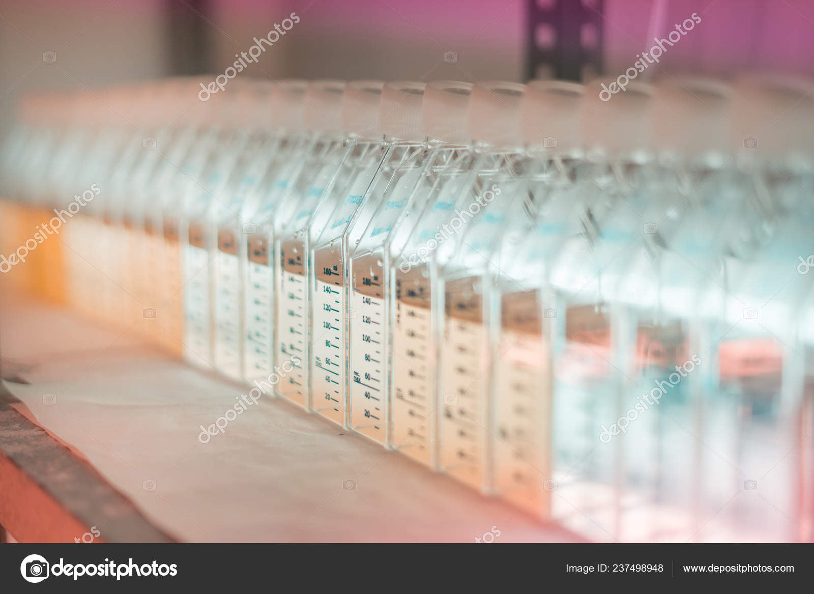 Microalgae Cultivation Biotechnology Laboratory Stock Photo by ...