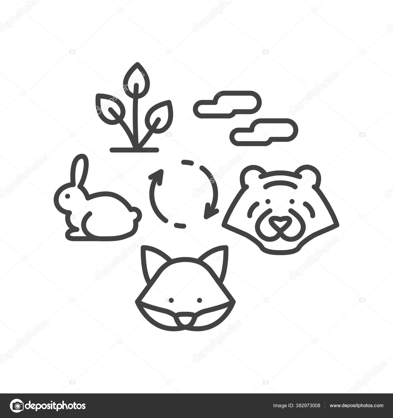 Food Chain Black Line Icon Nature Eating Model Sign Web Stock Vector by ...