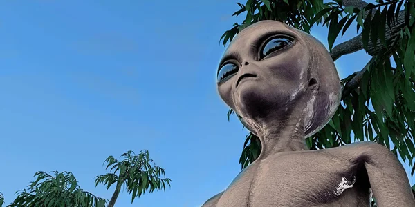 Gris Alien Extremadamente Detallada Realista Imagen Alta Resolución Ser ...