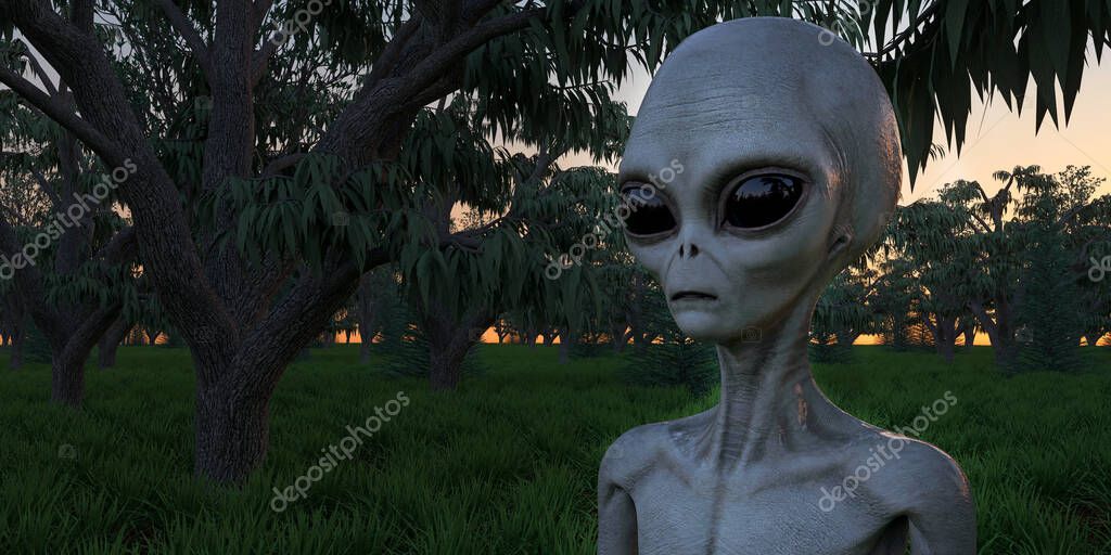 Alien Grey Humanoid Extraterrestre Ser extremadamente detallado y ...