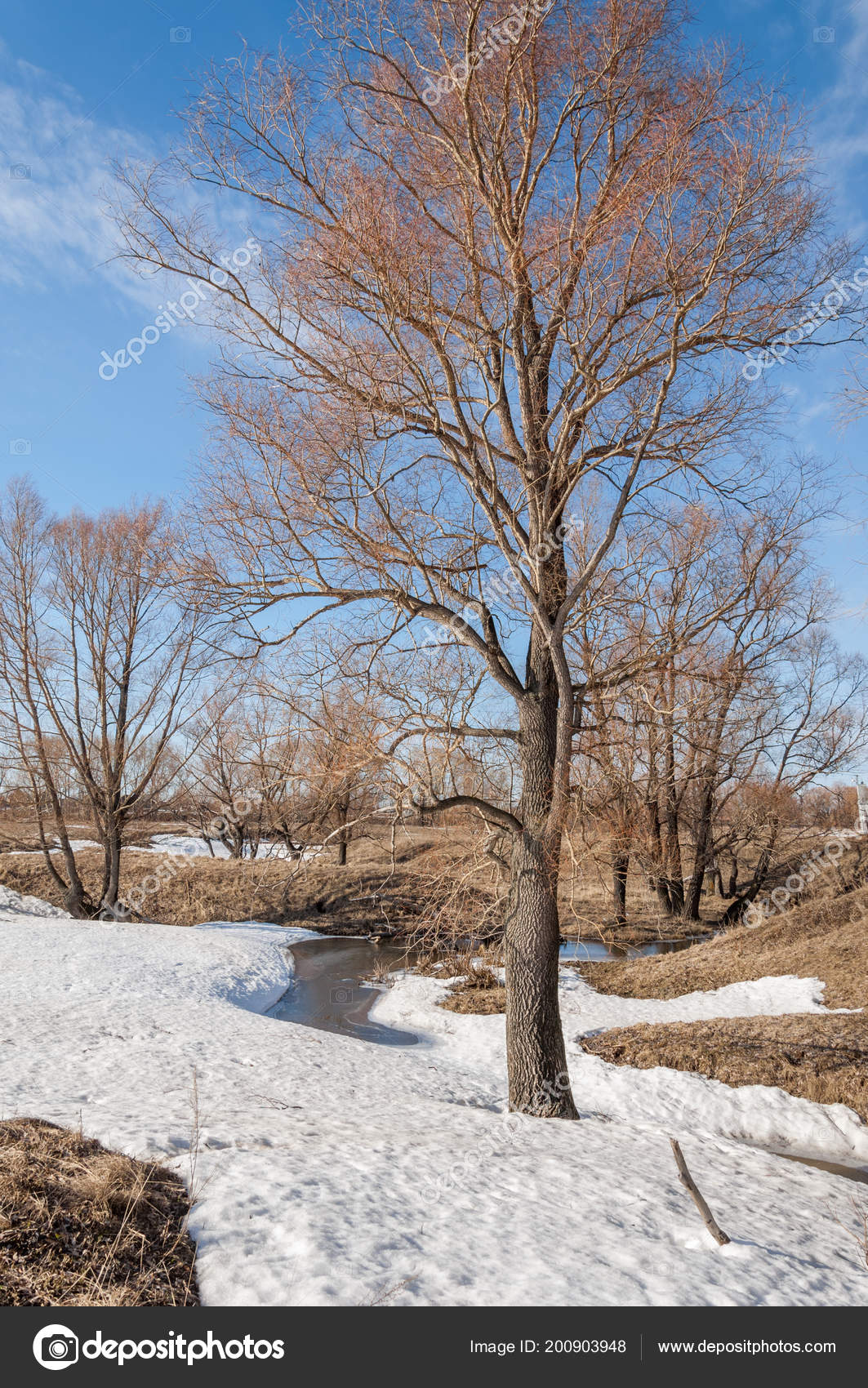 Spring Brook Texture Melt Water Spring Brooks Sunny Day River — Stock ...