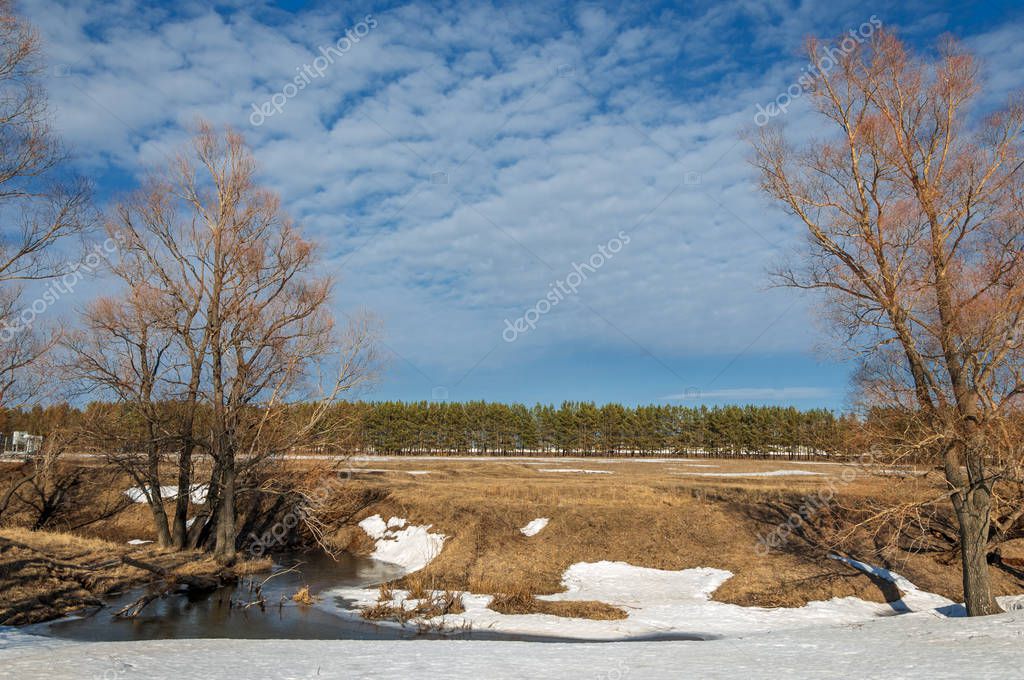 Spring Brook. textura de agua derretida en los arroyos de primavera en ...