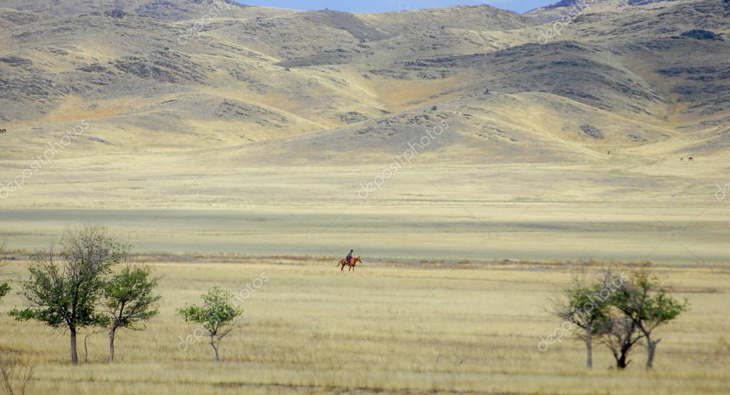 Paisaje otoñal, estepa con montañas. pradera, terciopelo, terciopelo ...