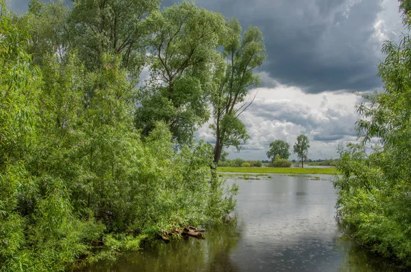 floodwaters. water overflowing as the result of a flood. High spring ...