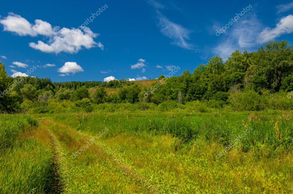 Foto de verano. prados inundables Un prado (o llanura inundable) es un ...