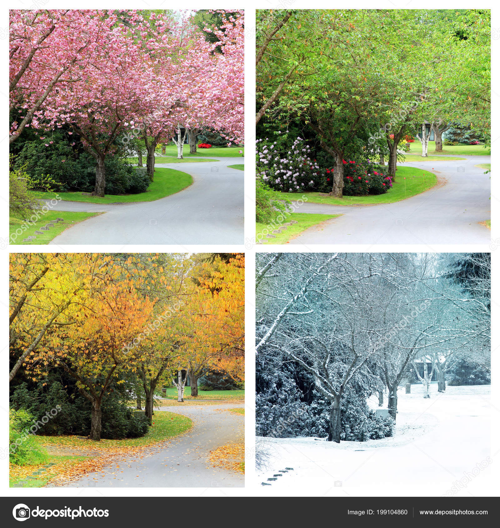 Summer In Winter Canada