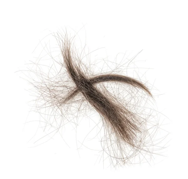Hair Bundle Isolated White Background Tuft Hair Close — Stock Photo ...