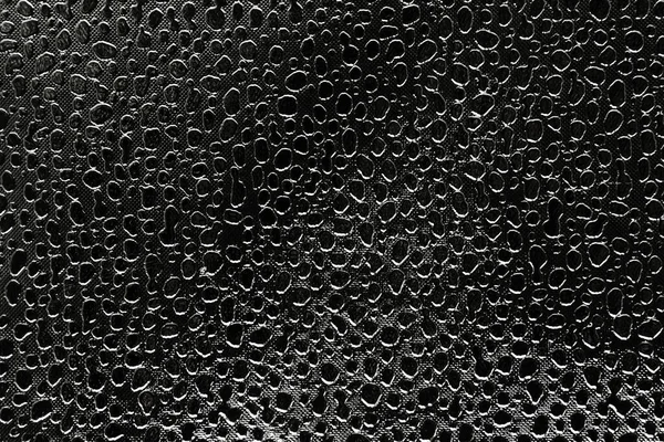 Shiny Black Plastic Texture