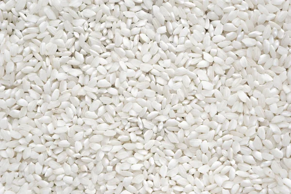 Rice white color closeup Stock Photo by ©LenoraA 102586638