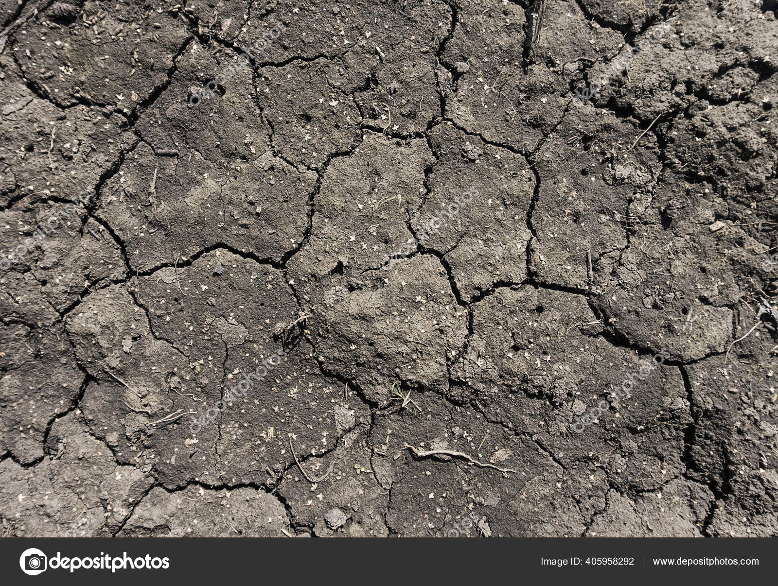 Superficie Agrietada Fondo Textura Suelo Gris Tierra Gris Seca Picada ...