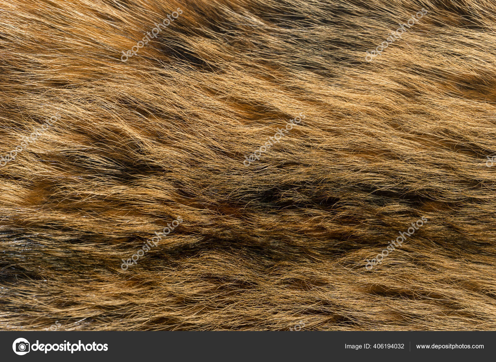 Animal Fur Textures