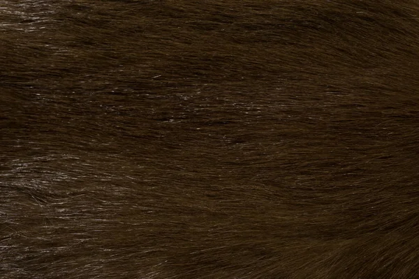 Natural animal fur background texture. brown wool close-up - Stock ...