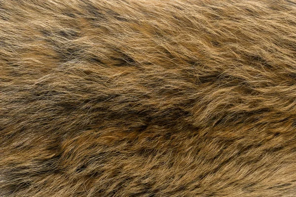 Seamless fur texture Stock Photos, Royalty Free Seamless fur texture ...