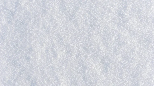 White Clean Shiny Snow Background Texture Fresh Snow Seamless Texture ...