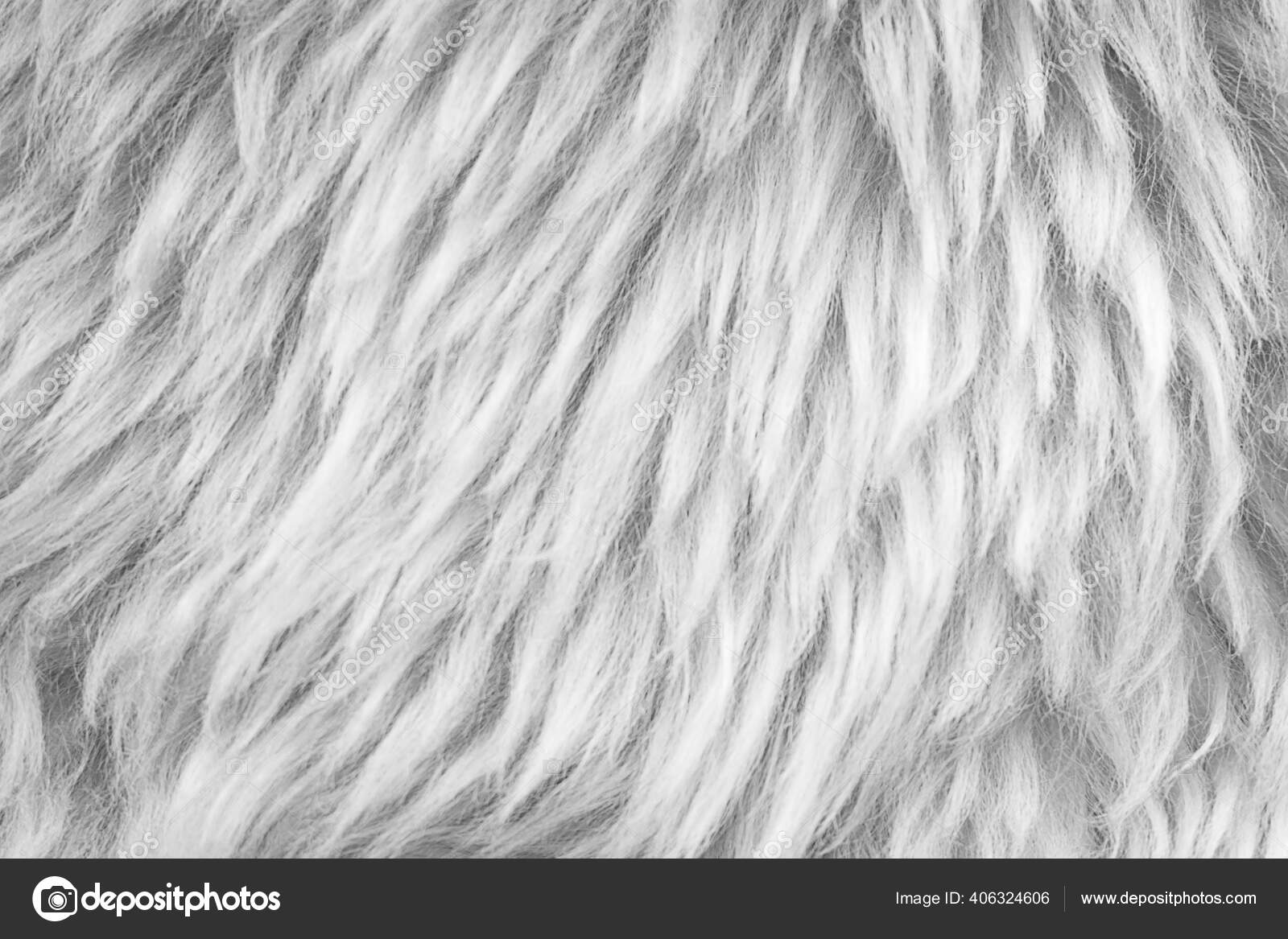 White Soft Wool Texture Background Cotton Wool Light Natural Sheep ...