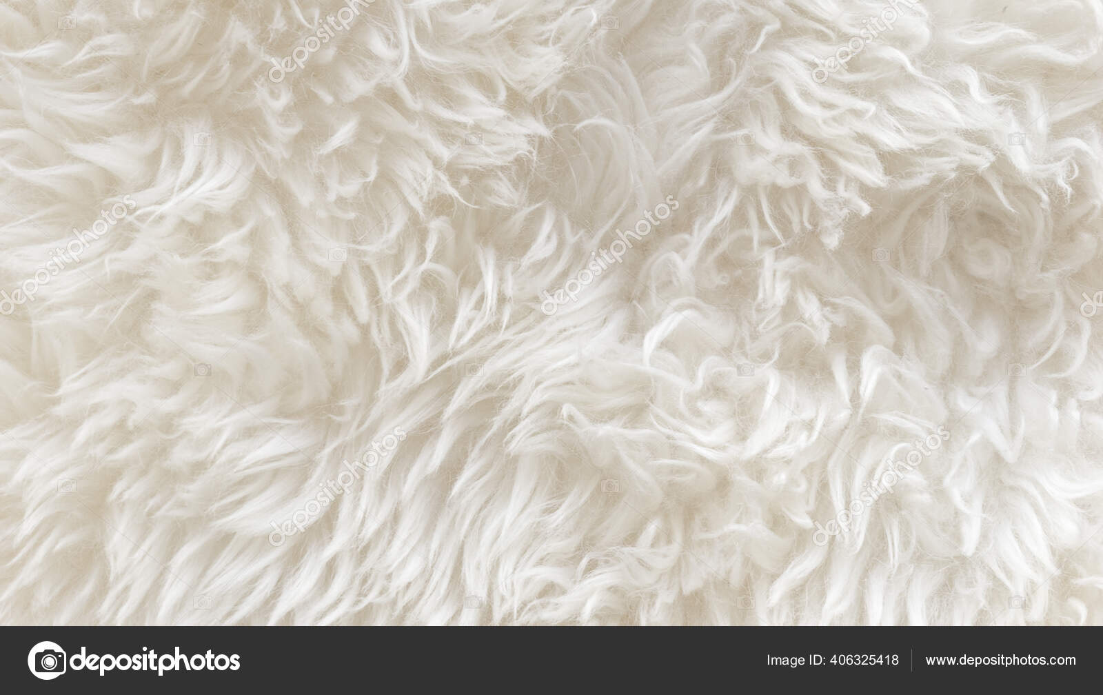 Sheep Wool Texture