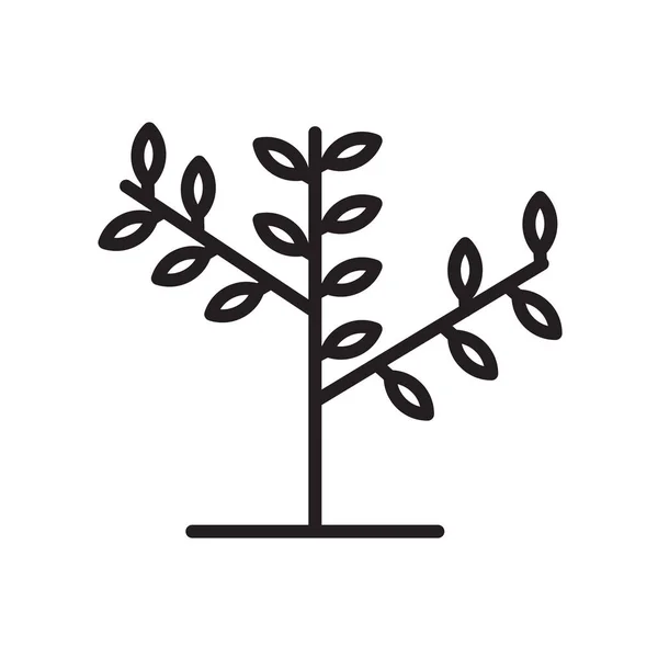 12,147,930 Binary tree icon Vector Images | Depositphotos