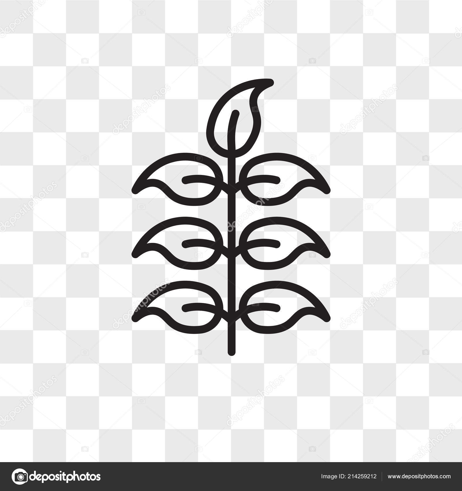 Rowan vector icon isolated on transparent background, Rowan logo Stock ...