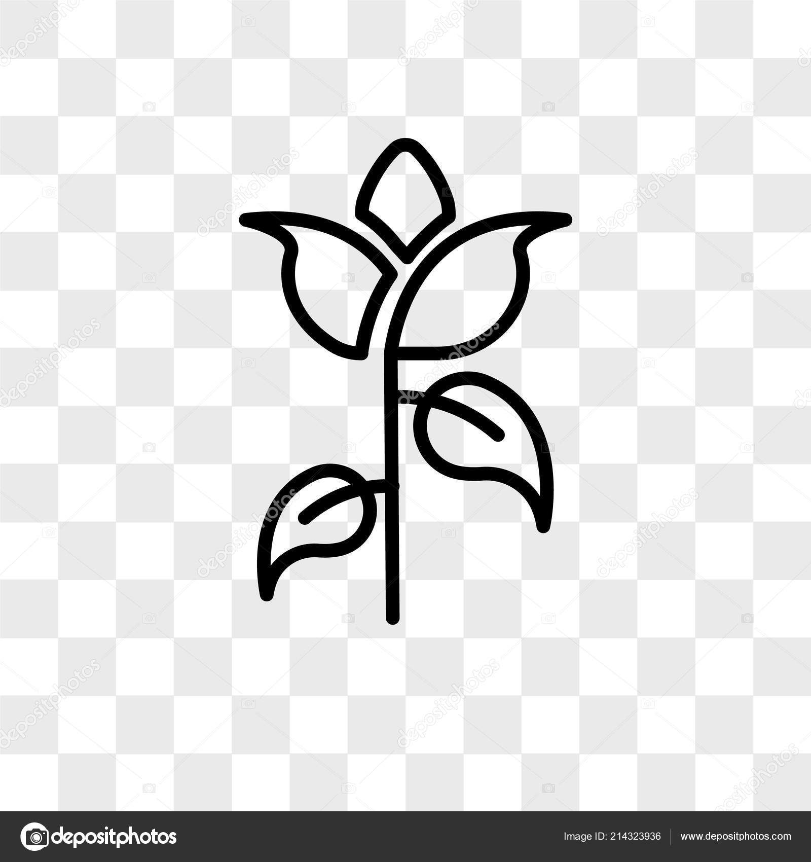 Blomst vektor ikon isoleret på gennemsigtig baggrund, Flower logo ...