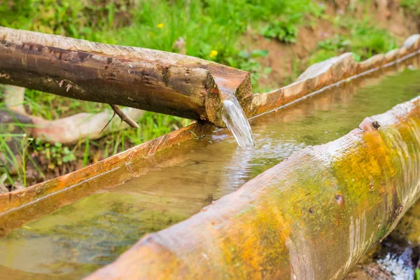 Water trough Stock Photos, Royalty Free Water trough Images | Depositphotos