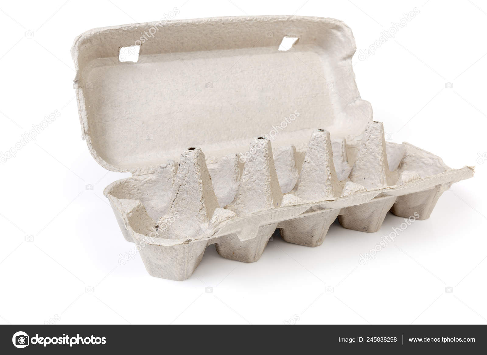 Open Egg Carton