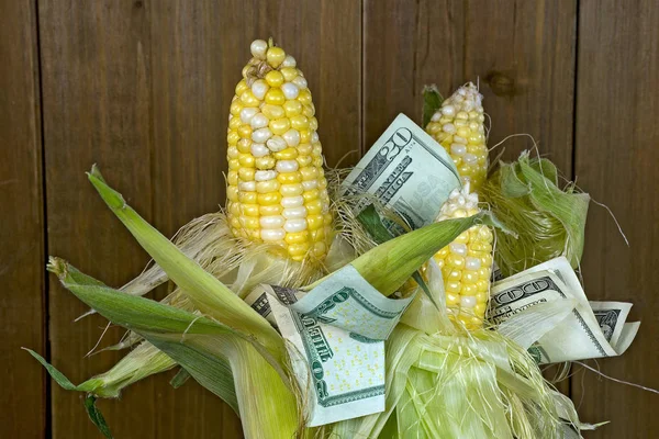 Sweet corn Stock Photo by ©stevanovicigor 13439763
