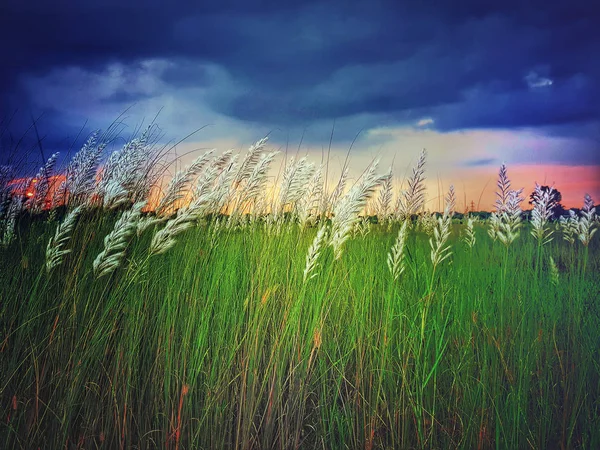 ᐈ Kal stock images, Royalty Free sarat kal photos | download on ...