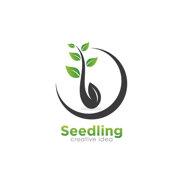 Seeds logo Images - Search Images on Everypixel